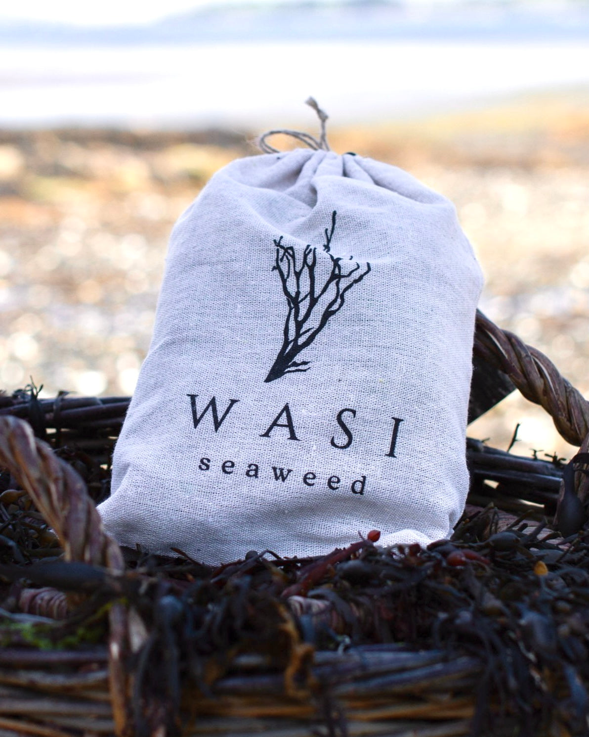 Wasi – The Designerie